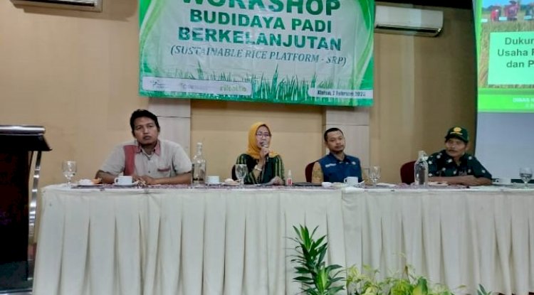 Produksi Beras di Klaten Surplus - Kabupaten Klaten Produksi Beras di Klaten Surplus - Kabupaten Klaten
